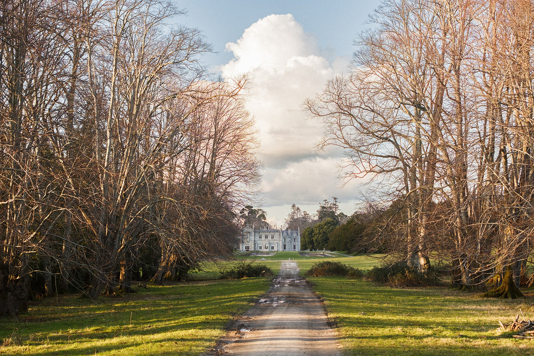 Venue Hire – Killruddery House
